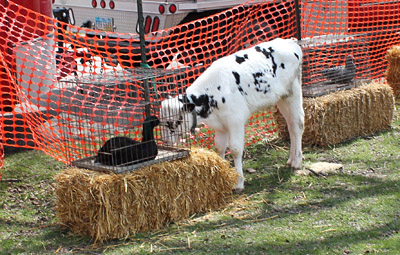 Spring Mist Farms - Traveling Farm